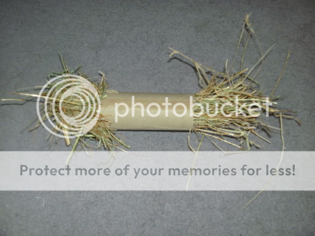 How to make a your own Hay Tube | Rabbits United