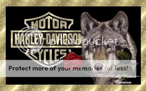 lady rider creation Harley-Davidson LOGO | Motor harley davidson cycles ...